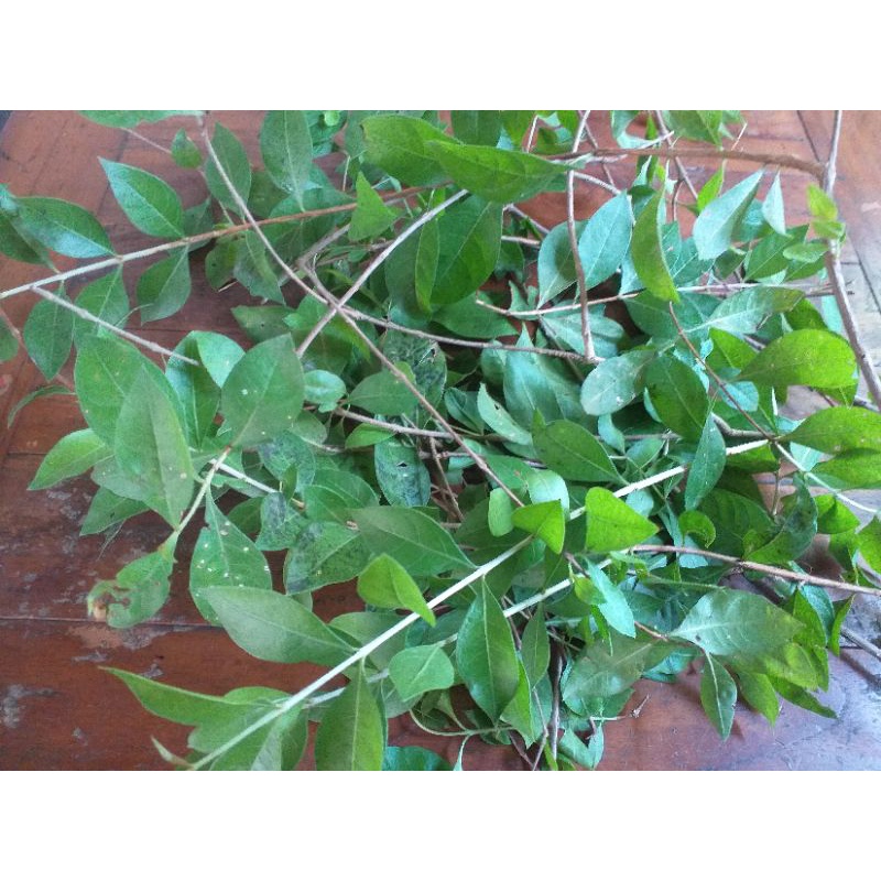 Jual Daun pacar kuku 100 gram | Shopee Indonesia