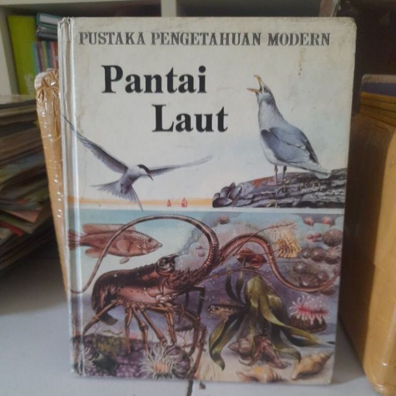 Jual pustaka pengetahuan modern pantai laut | Shopee Indonesia