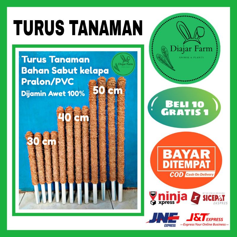 Jual Turus Penyangga Tanaman | Turus Pipa Dan Sabut Kelapa | Turus ...