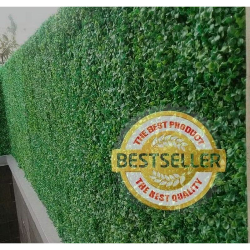 Jual TANAMAN HIAS DINDING SINTETIS JENIS DOLLAR - TANAMAN SINTETIS ...