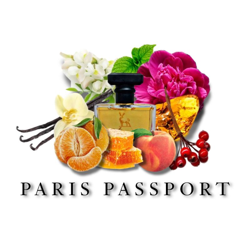 Jual INSPIRED PARRIS PASSPORT/ PARFUM WANITA/PARFUM UNISEX/REFILL ...