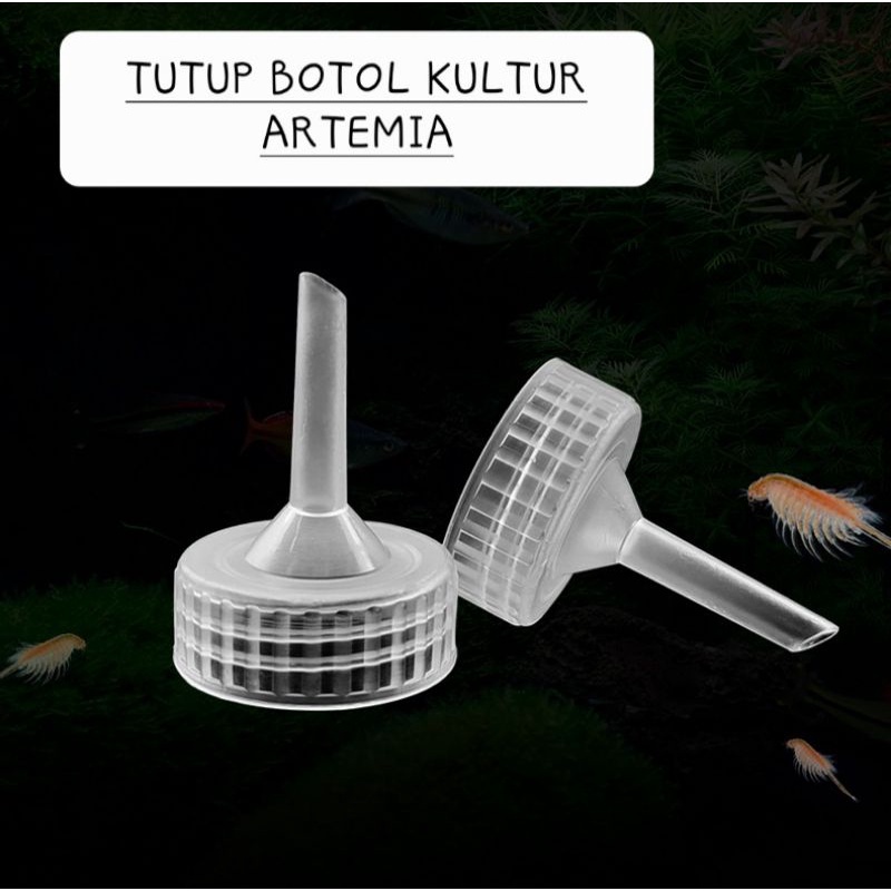 Jual TUTUP BOTOL PENETASAN ARTEMIA CORONG ALAT TETAS ARTEMIA IMPORT ...