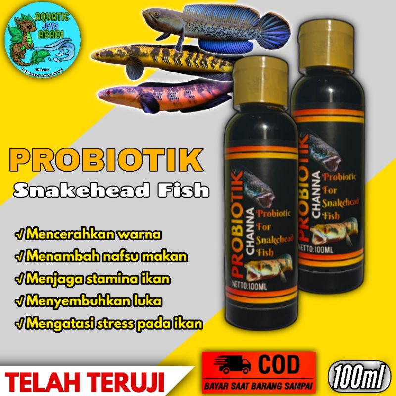 Jual Probiotik Channa 100ml vitamin ikan channa mencerahkan warna | Shopee Indonesia