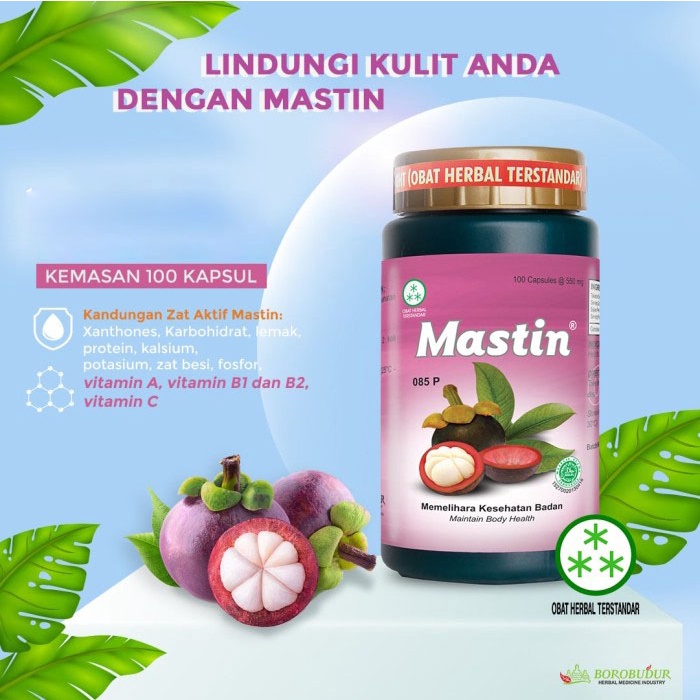 Jual Mastin 100 kapsul borobudur - kapsul ekstrak kulit manggis ...