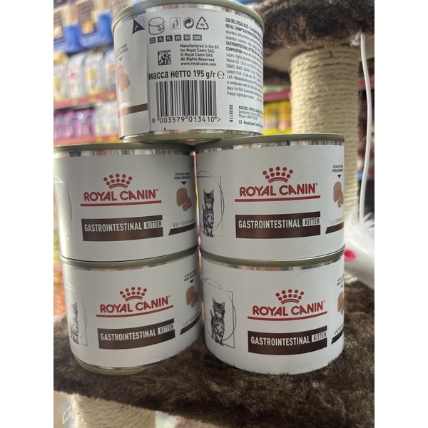 Jual Royal Canin Gastrointestinal Kitten Gastro Kitten Kaleng 195g ...