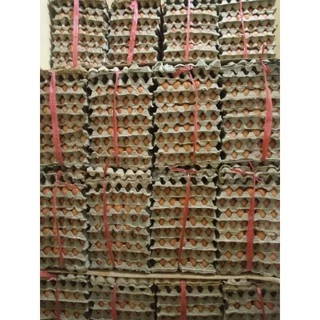 Jual Telur Ayam 1 Kg Terlengkap & Harga Terbaru Juli 2024 | Shopee ...