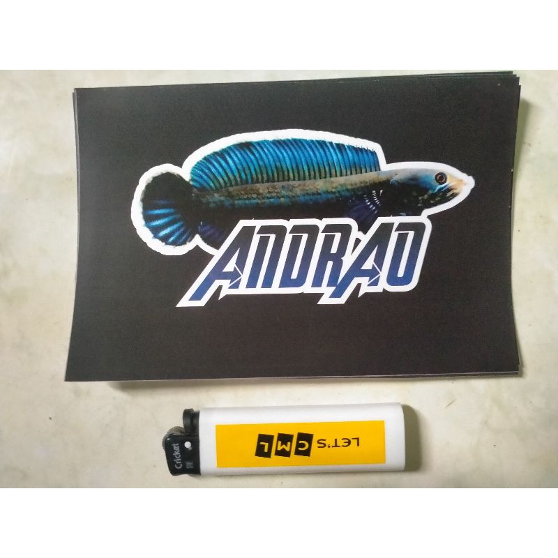 Jual STIKER CHANA hiasan aquarium tempelan akuarium channa | Shopee ...