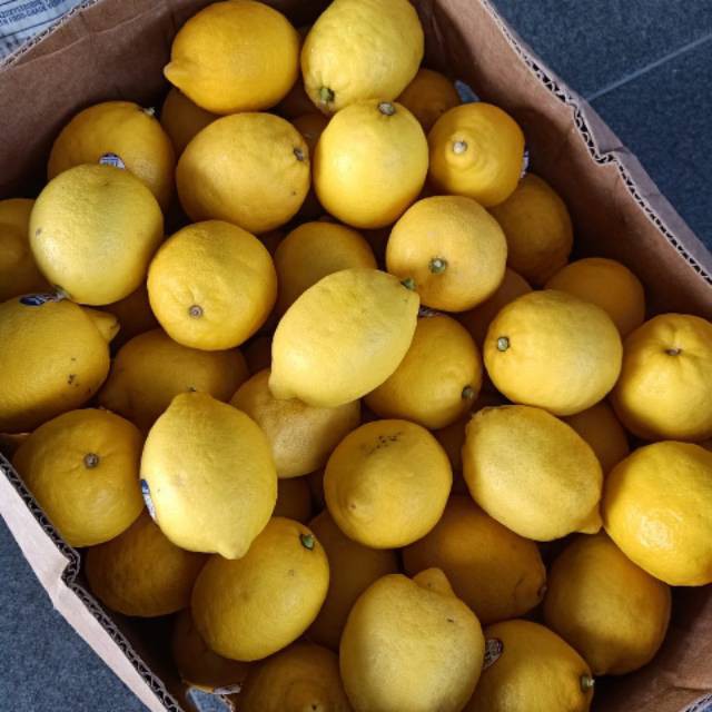 Jual Jeruk Lemon Lokal | Shopee Indonesia