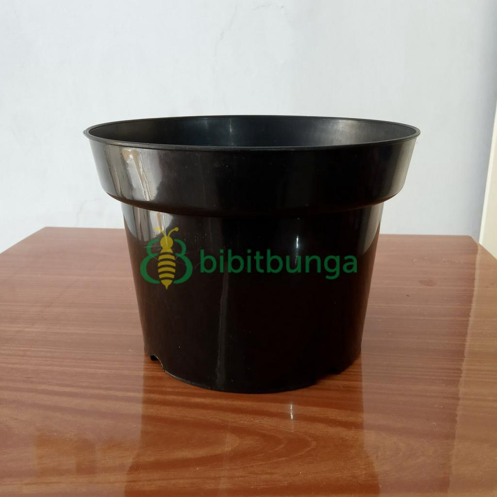 Jual Pot Kopeng Hitam 17 cm Polos Tanaman Hias Bunga Plastik Sedang ...