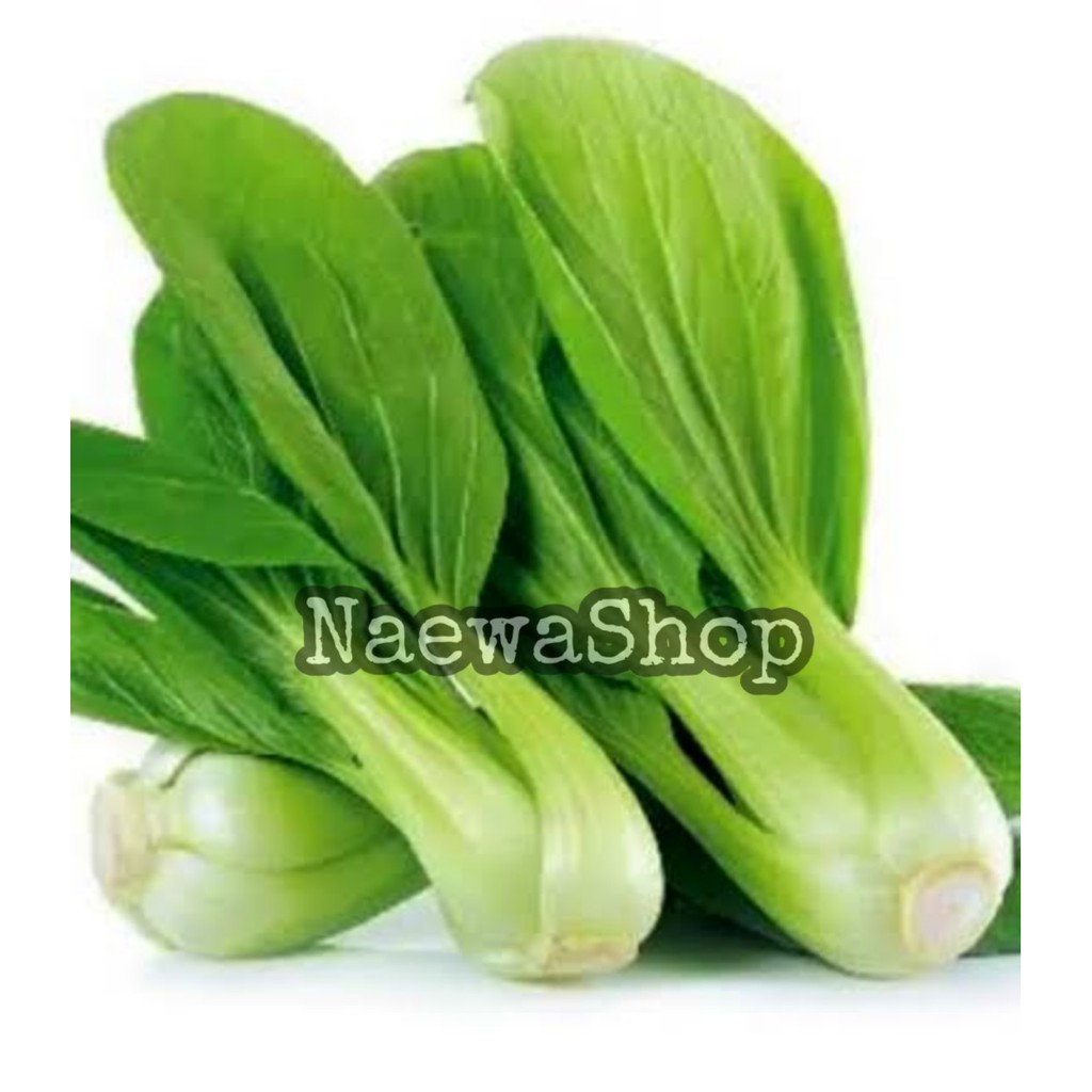 Jual Pakcoy - Sawi Sendok Segarrr | Shopee Indonesia
