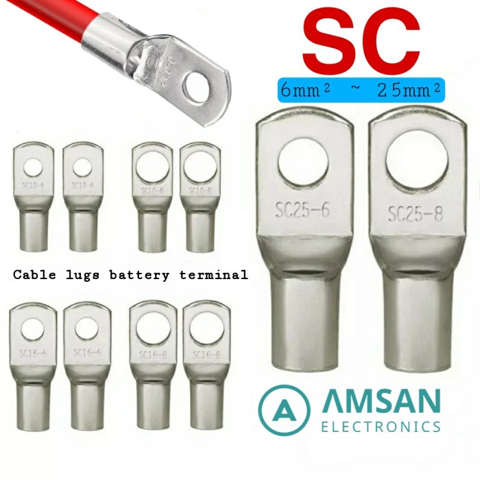 Jual Skun SC6 SC10 SC16 SC25 6 8 M6 M8 SC 6-10-16-25 mm Sepatu Kabel Lugs | Shopee Indonesia