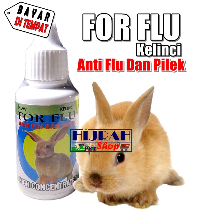 Jual Obat Kelinci Obat Pilek Kelinci Obat Flu Kelinci Meredakan Gejala ...