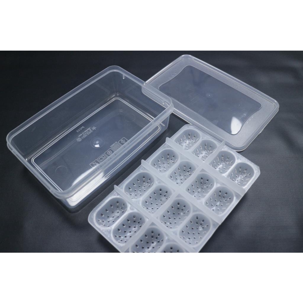Jual egg tray gecko 16 slot + Box | Shopee Indonesia