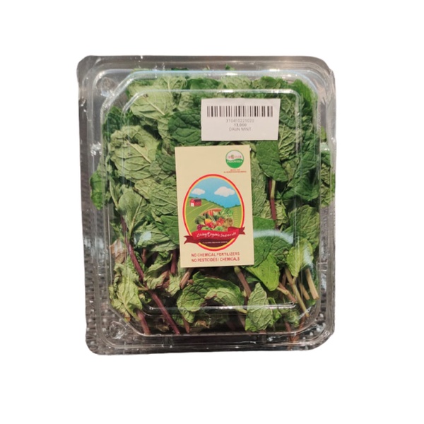 Jual Daun Mint Pack | Shopee Indonesia