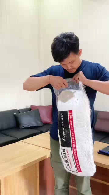 Jual Sabchan - Guling Hotel Tidur Memory Foam Bolster | Shopee Indonesia