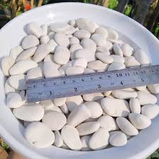 Jual Batu Koral Putih Taman / Batu Koral Putih Kecil Kupang 1 Kg ...