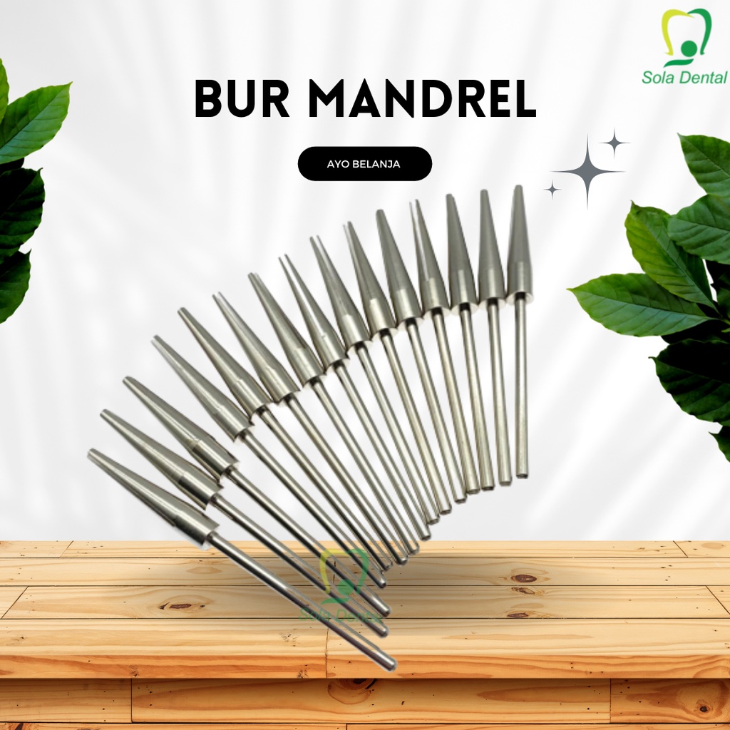 Jual Bur Mandril Penjepit Amplas Gigi Dental Gagang Disc Gerinda Gigi ...