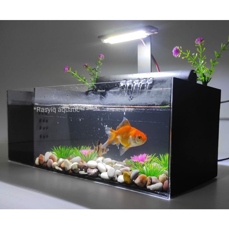 Jual AQUARIUM KOTAK MINI AKRILIK PVC FULLSET MURAH DENGAN MESIN FILTER ...