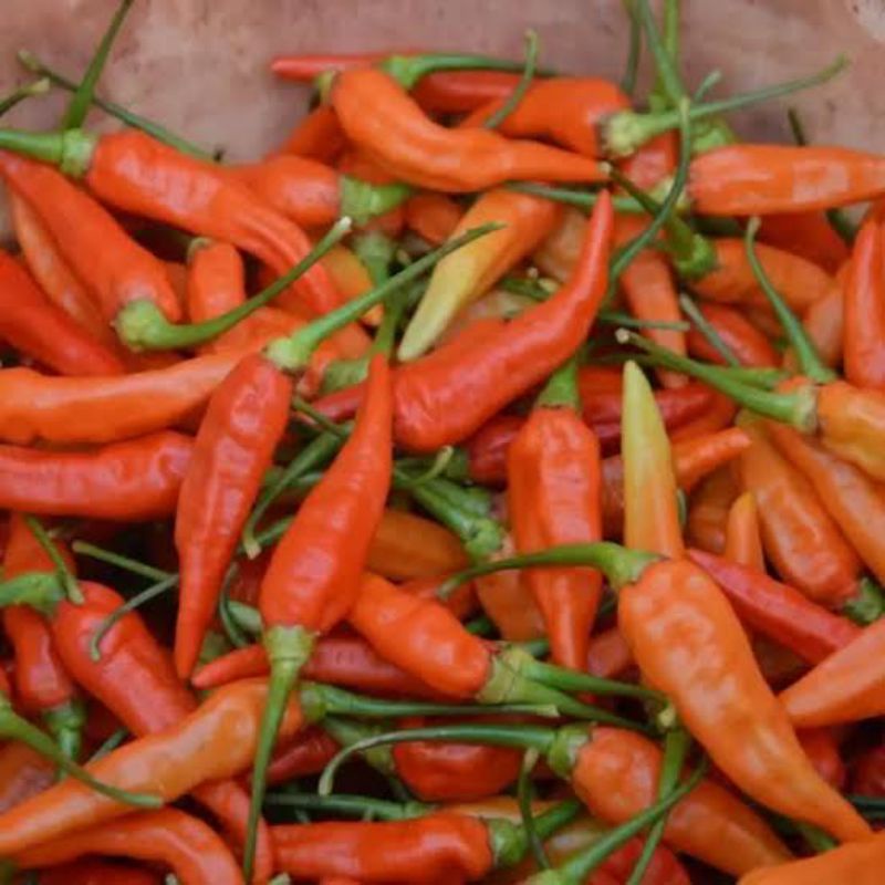 Jual berbagai macam cabai / cabe | Shopee Indonesia