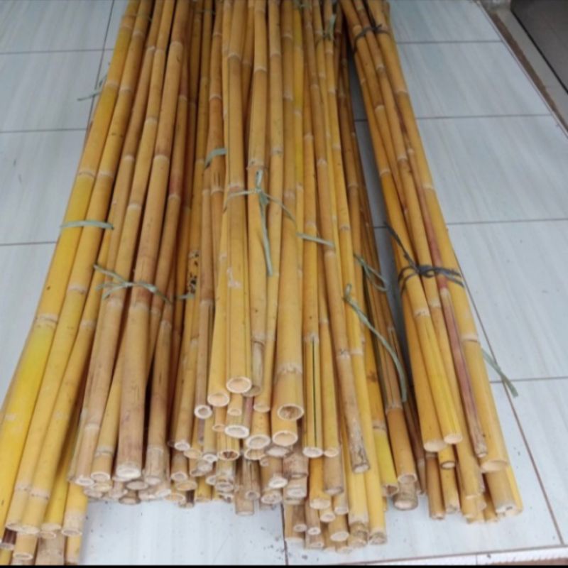 Jual bambu kuning panjang 120cm | Shopee Indonesia