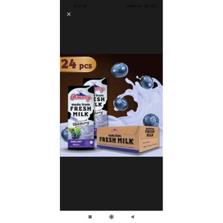 Jual Susu Cimory Blueberry UHT 250ml | Shopee Indonesia
