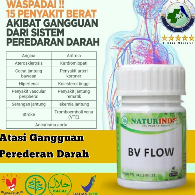 Jual Obat Herbal Bv Flow (Spesial Sirkulasi Darah Lancar) | Shopee ...
