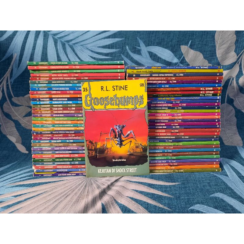 Jual Paket 66 Buku Novel Goosebumps 1-62 Series 2000 Set Lengkap KHUSUS ...