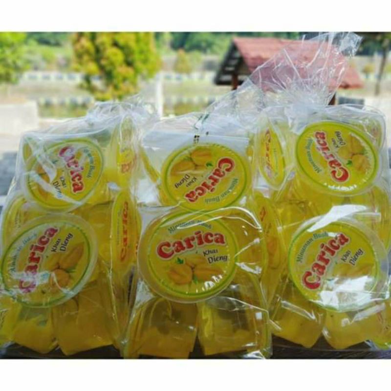 Jual MINUMAN BUAH CARICA KHAS DIENG ,SIRUP MANISAN BUAH SEHAT | Shopee ...