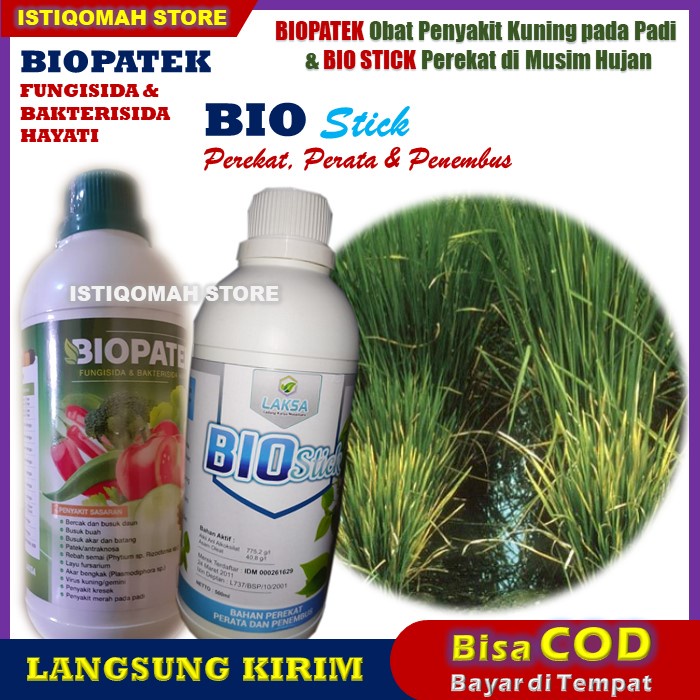 Jual BIOPATEK + BIO STICK Perekat di Musim Hujan - BIOPATEK Fungisida ...