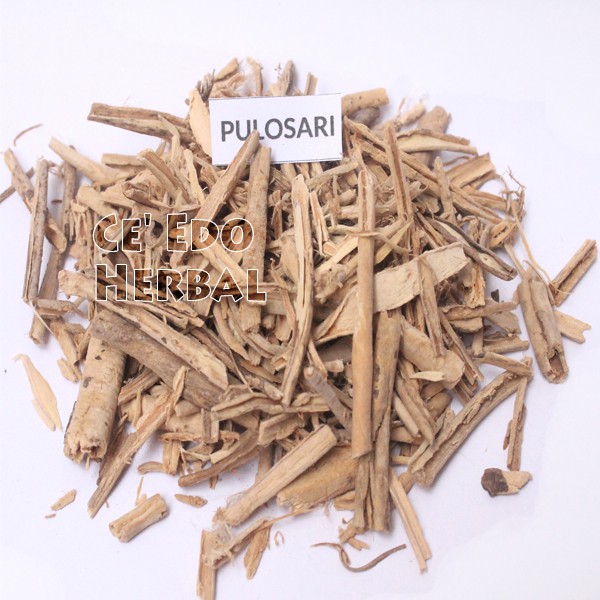 Jual Pulosari Kering - 500 Gram | Shopee Indonesia