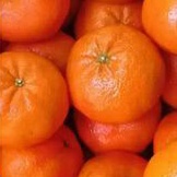 Jual jeruk mandarin jeruk honey murcot fresh manis per 1 kg | Shopee ...