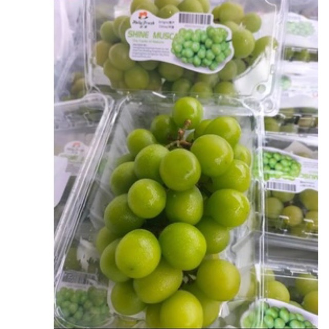 Jual Buah Anggur Shine muscat/Anggur Sultan perpack 500gr | Shopee ...