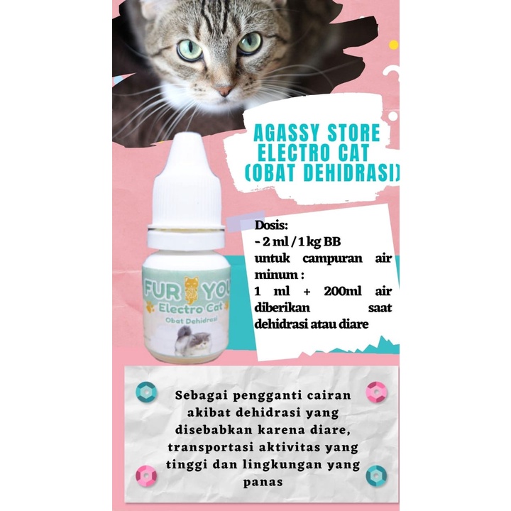 Jual FurYou Obat kucing dehidrasi obat elektrolit kucing pengganti ...