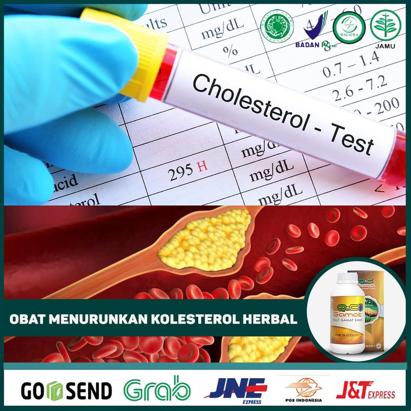 Jual Obat Kolestrol asam urat Kolesterol Gula Darah Herbal Alami QnC ...