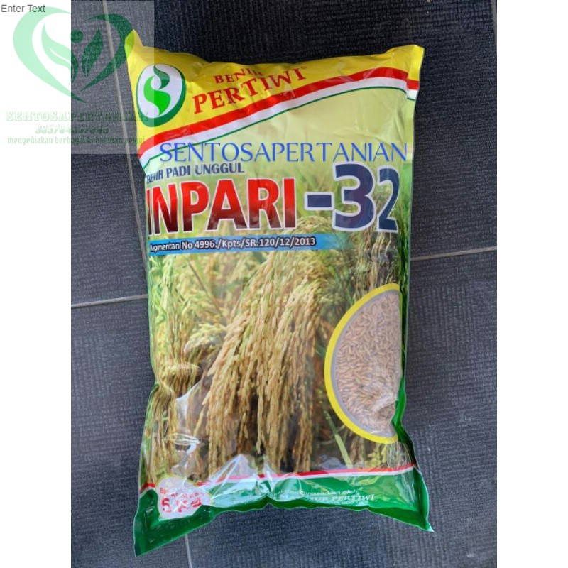 Jual benih padi unggul INPARI 32 kemasan 5kg dari BENIH PERTIWI | Shopee Indonesia