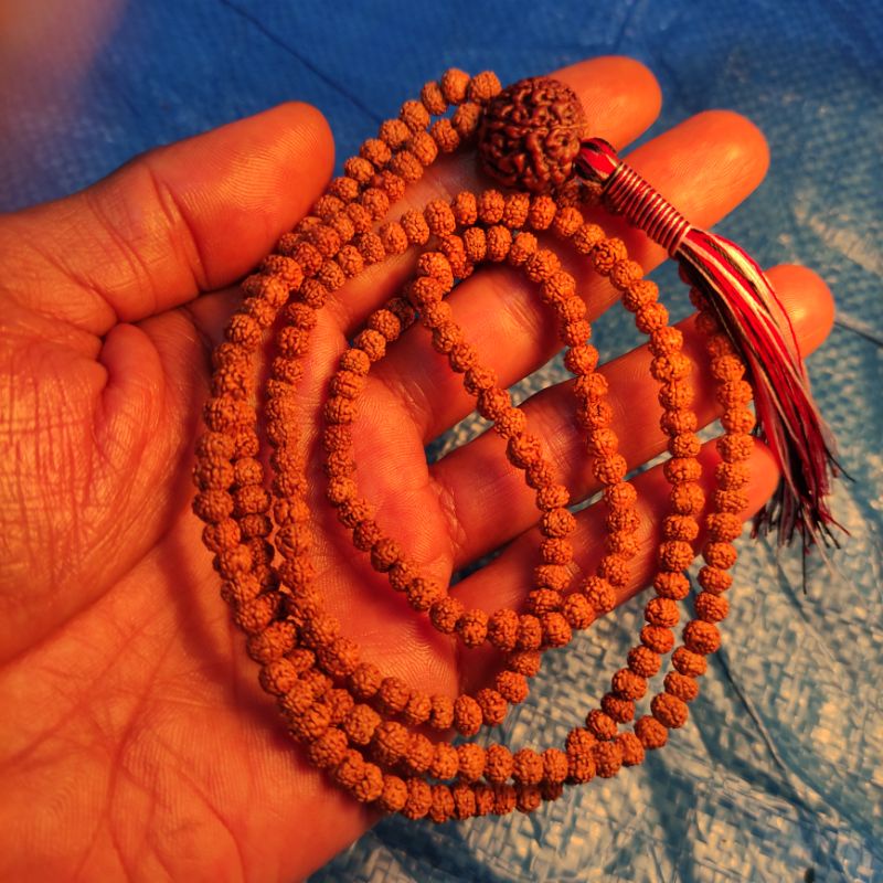 Jual Tasbih Biji Jenitri Rudraksha ukuran 3mm Original | Shopee Indonesia