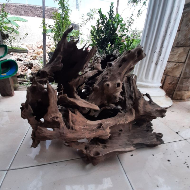 Jual kayu rentek aquascape ukuran xl murah berkarakter | Shopee Indonesia