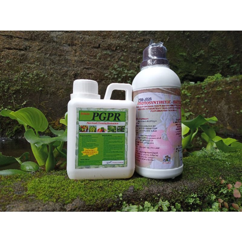 Jual Paket Pupuk Akar & Pemacu Tumbuh Tanaman PGPR + Pupuk Daun PSB ...