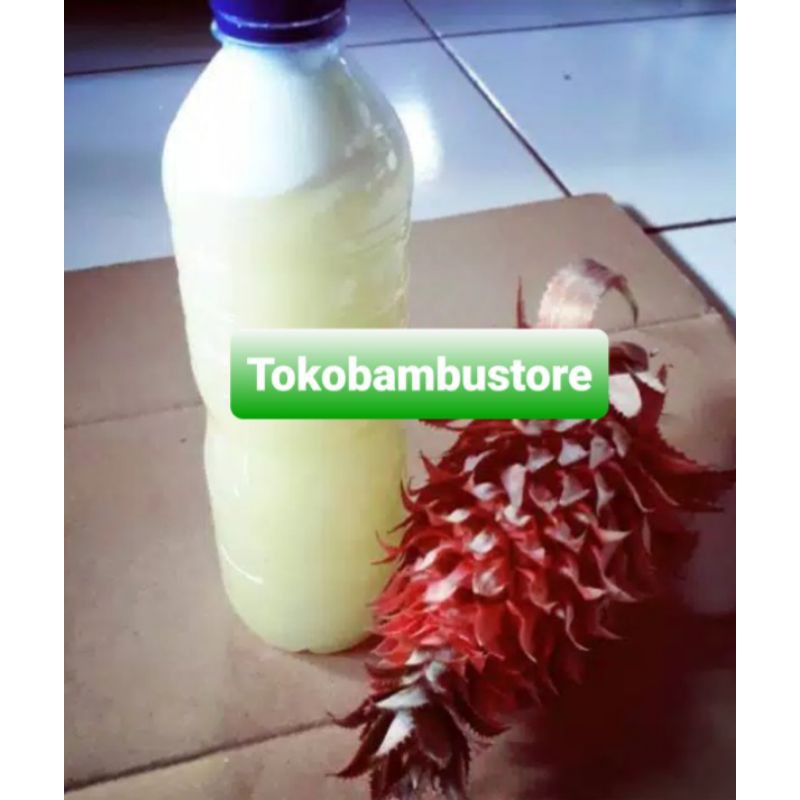 Jual Jus nanas merah jus buah nanas merah kemasan 350 ml-az | Shopee ...