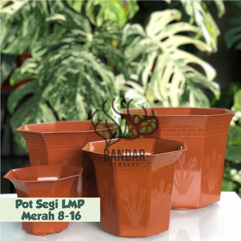 Jual Pot Segi LMP 8-16 Tanaman Bunga Hias Pot Plastik Tebal Besar dan ...