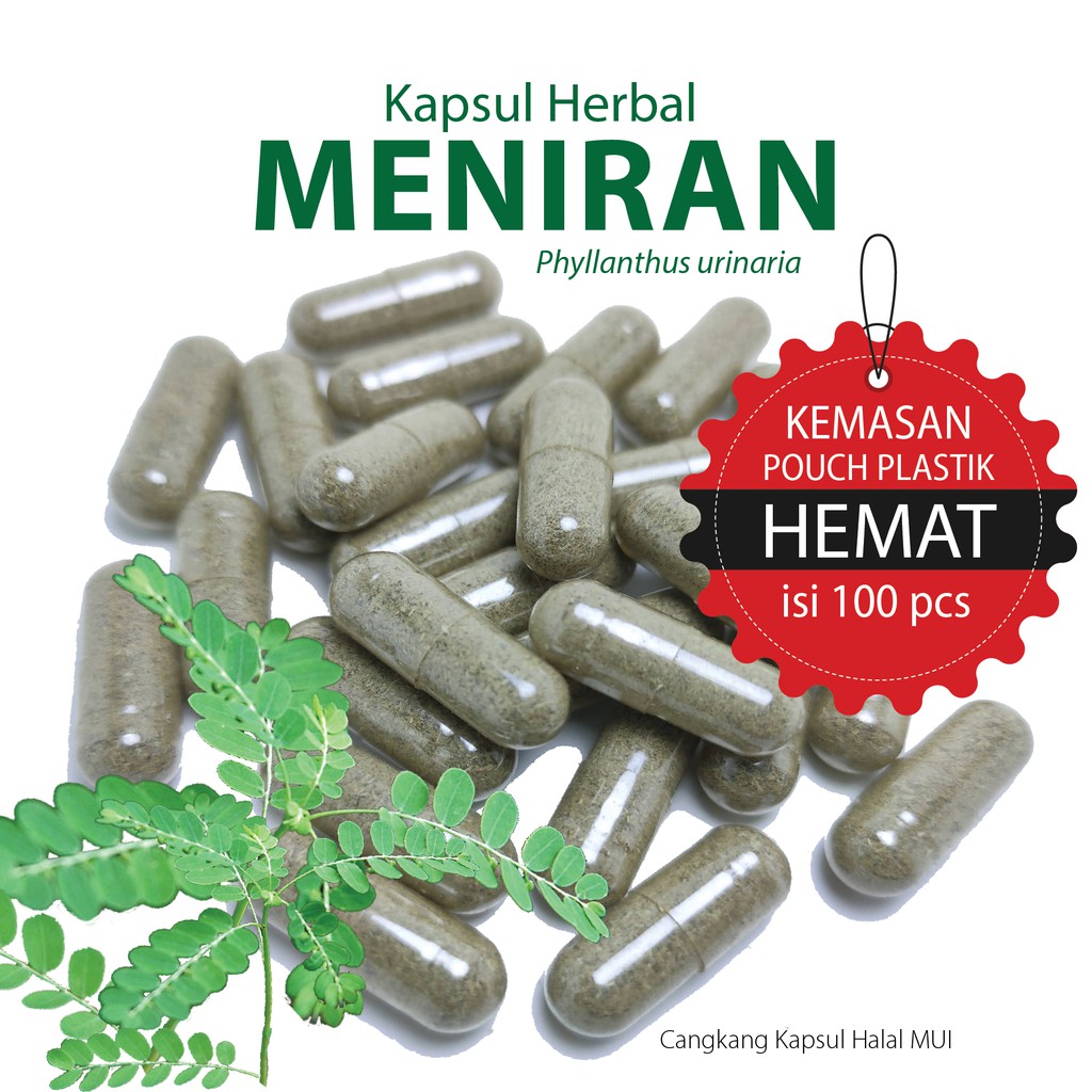 Jual MENIRAN 100 Kapsul Herbal Pengatur Sistem Imun, Batu Ginjal-Empedu ...