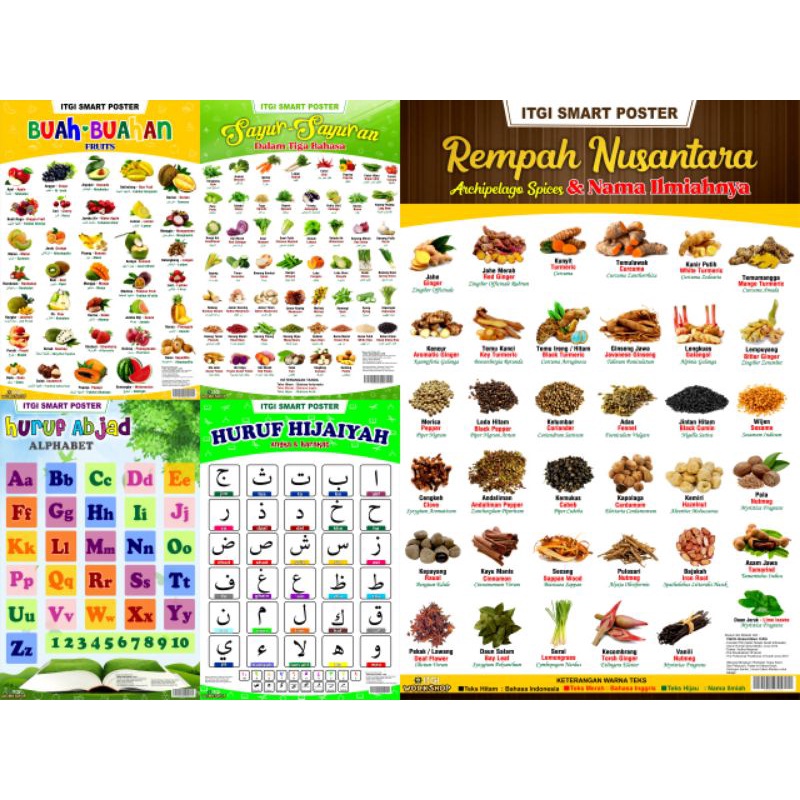 Jual ITGI SMART POSTER / POSTER EDUKASI ANAK DAN TERAPIS | Shopee Indonesia