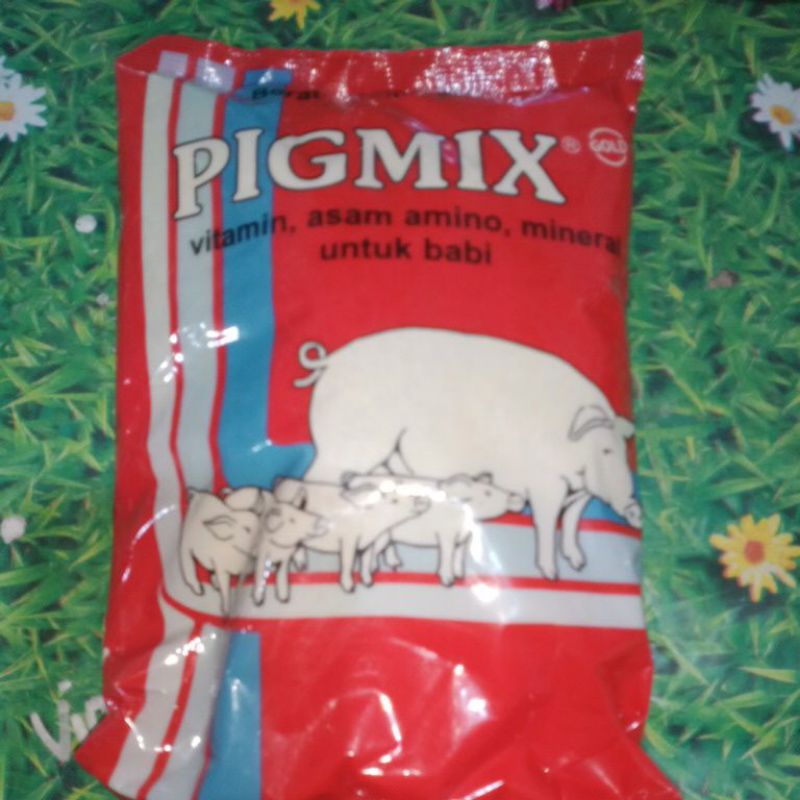 Jual Pig Mix 500gr (Vitamin, as. amino, mineral untuk babi) | Shopee ...