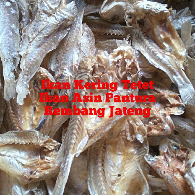Jual Ikan Samge Kepala Batu Kering Tawar 500 gram | Shopee Indonesia