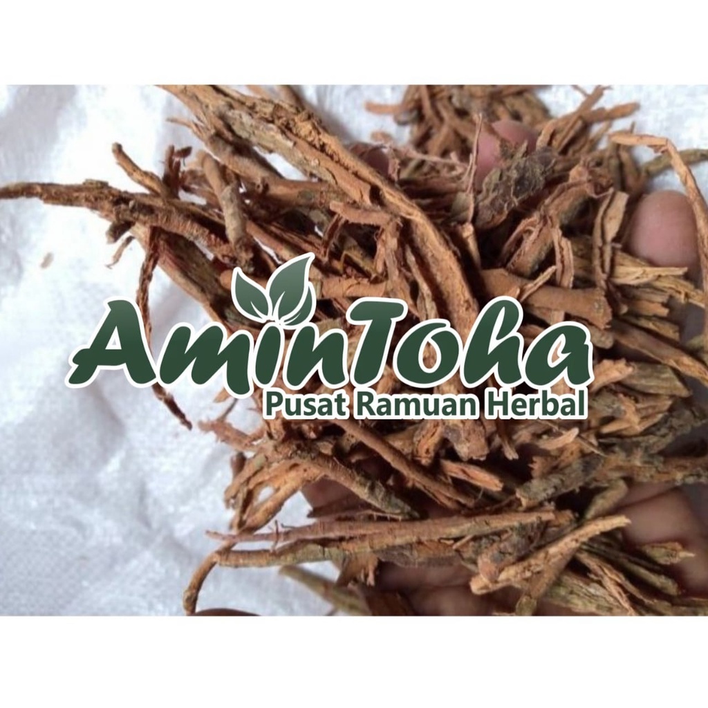 Jual Kayu rapet kering 100 gram 100 % asli atasi masalah wanita ...