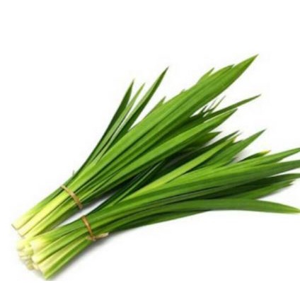 Jual Daun Pandan Wangi segar - Perasa makanan alami - Daun pandan segar ...