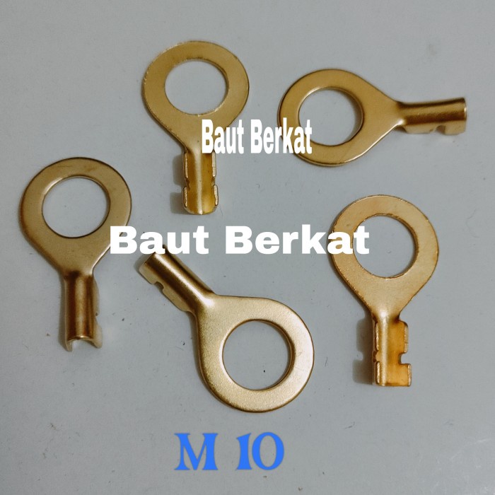 Jual Produk Terbaru Skun Ring Baut 14 Terminal Bulat 10Mm Baut 14 ...
