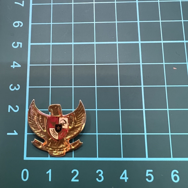 Jual Pin Garuda Resin Paskibra | Shopee Indonesia
