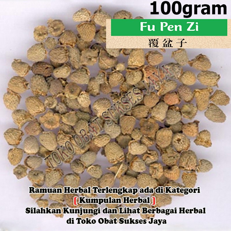 Jual [100gram] Fu Pen Zi - [ 覆盆子] - Fructus Rubi Chingii | Shopee Indonesia