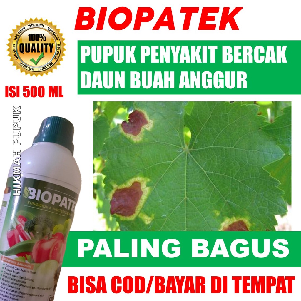 Jual PUPUK PENYAKIT BERCAK DAUN ANGGUR PALING LARIS BIOPATEK 500 ML ...